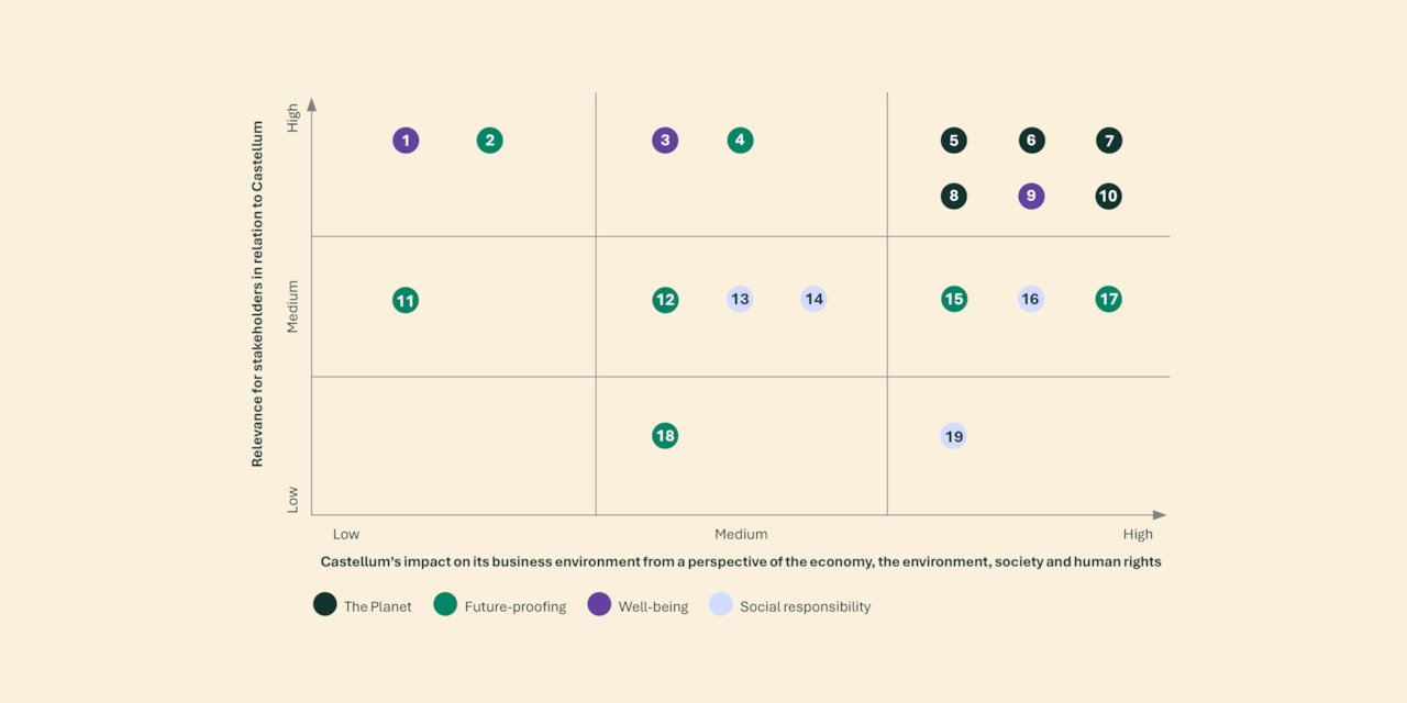 Stakeholder dialogue and materiality analysis | Castellum